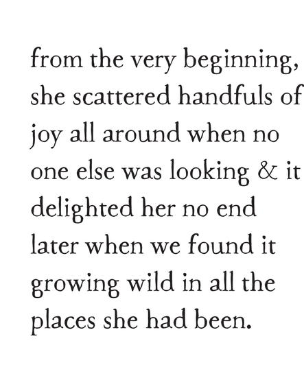 Flying Edna: Towards A Life You Love